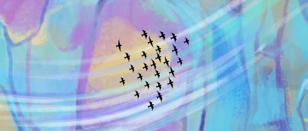 Inaugural TAC Studio Project Wins 3 Awards | SFCM